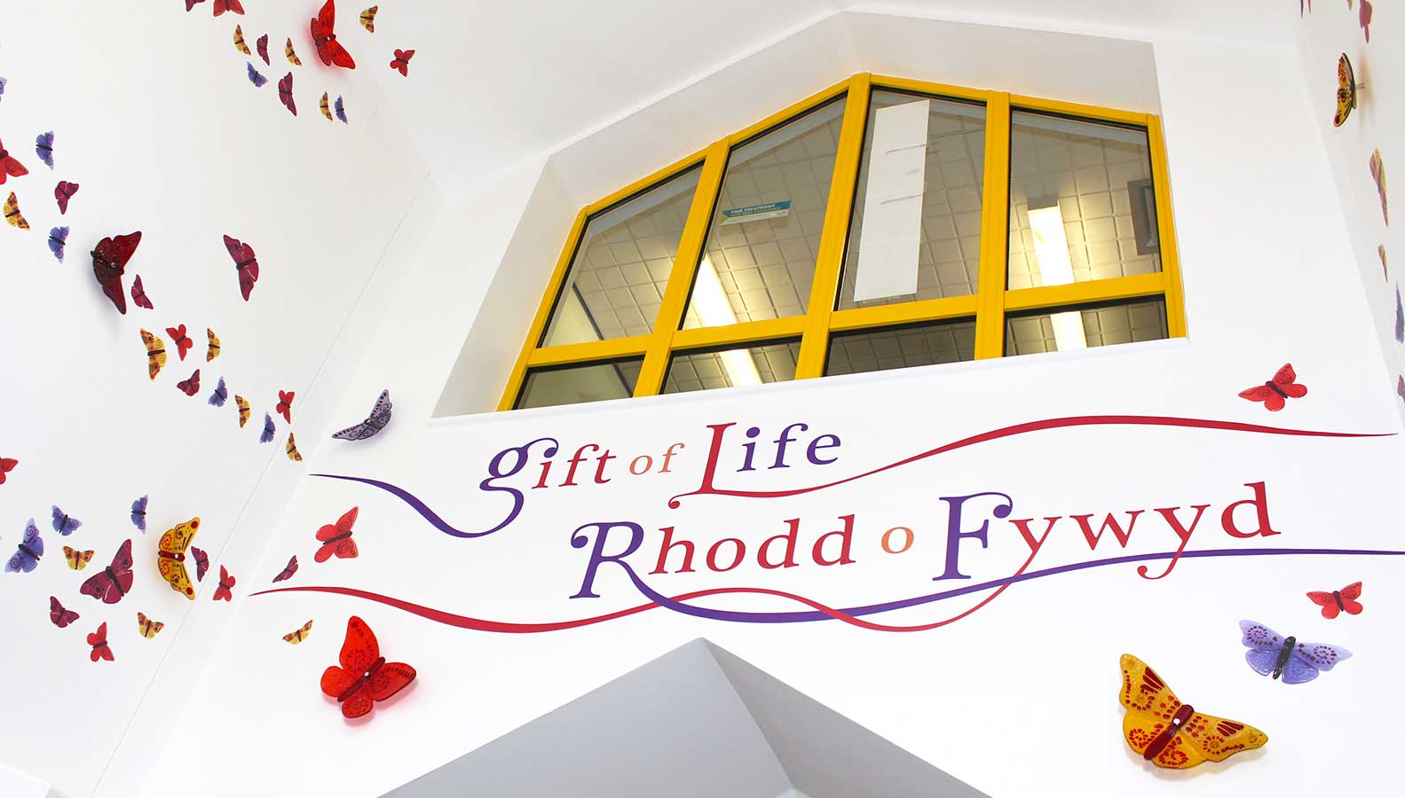 Graphic Displays - Standard Format and Super-Sized | Digital Plus