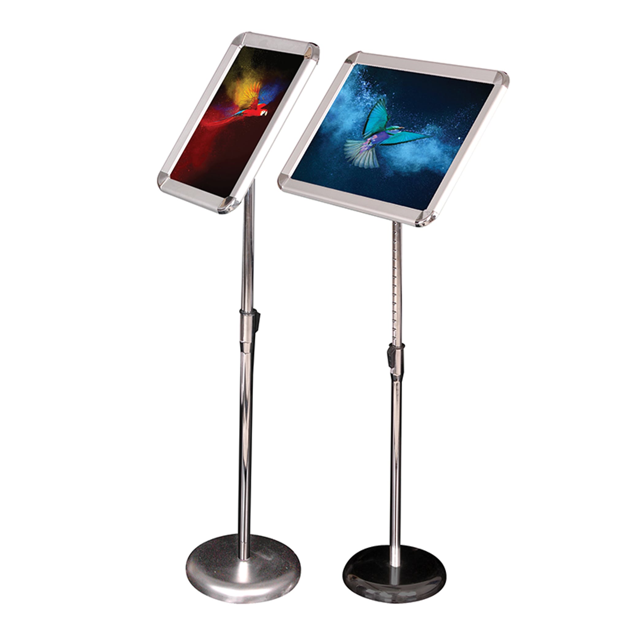 Sanitiser & Info Stands